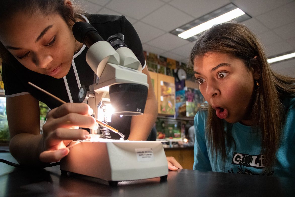 Announcing Walsworth’s 2020 Photo Contest Winners » Walsworth Yearbooks